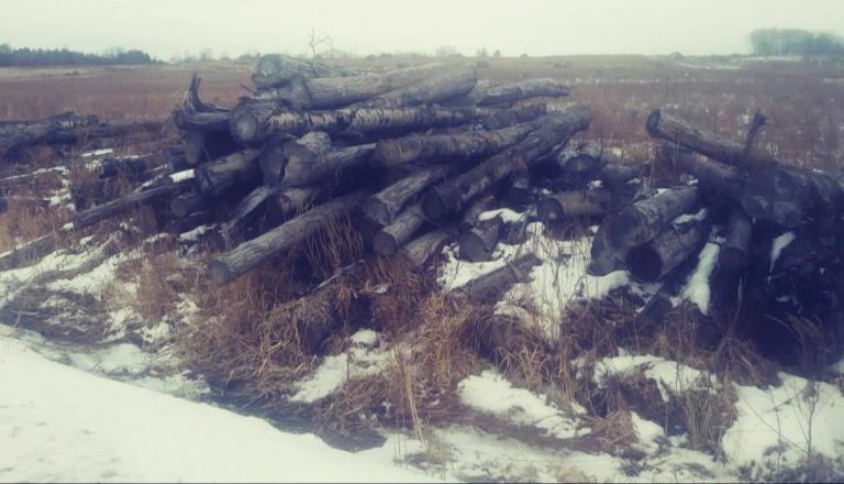 Solar Farms vs. “Farm-Farms” – Bob Lynch, Enfield Councilperson